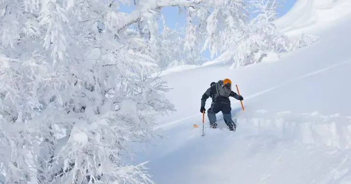 Basic telemark techniques